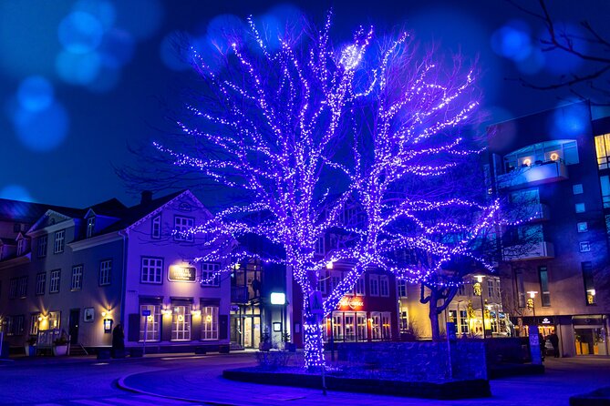 Reykjavik Christmas Walking Tour - Discovering Icelandic Christmas Traditions