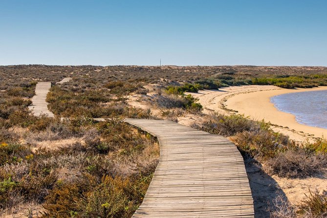 Ria Formosa: Private Boat Rental (From 2 to 8 Hours) - Logistics and Accessibility Considerations