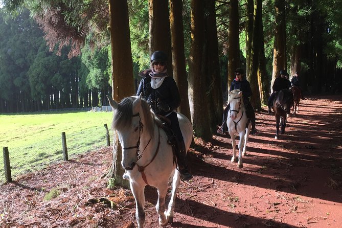 Ride a Volcano - Go to the Gardens in the Woods - Safety First: Riding Equipment and Measures
