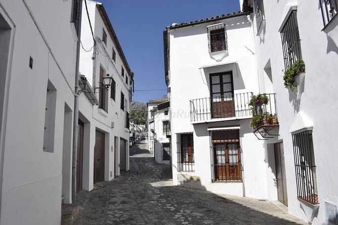 Ronda and White Villages Guided Day Tour From Seville - Traveler Reviews and Experiences