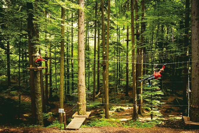 Ropes Park Interlaken - Expert Insights and Tips