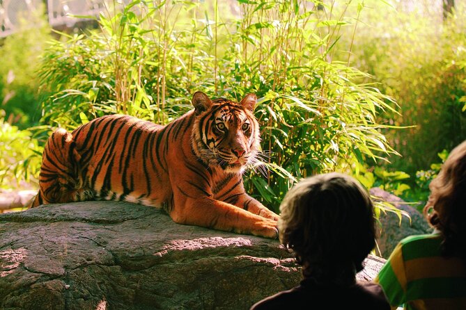 Rotterdam Zoo Blijdorp Direct Entrance Ticket - Recommendations and Tips