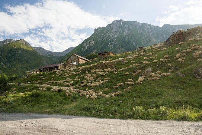Round-Trip Bus Transfer to Truso Valley From Kazbegi - Arrival and Transportation Recommendations