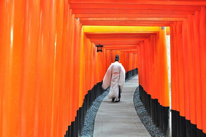 Sagano Romantic Train & Arashiyama, Kiyomizudera, Fushimi Inari Taisha Day Tour - Guest Experiences and Feedback