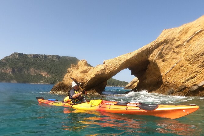 Saint Nicholas Island Sea Kayaking Tour Review - Customer Feedback and Experiences