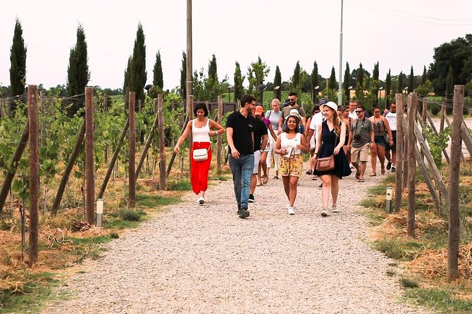 San Gimignano, Siena, Monteriggioni Tour Review - Navigating the Tour Logistics