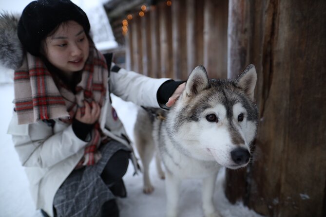 Santa Claus Village, Husky and Reindeers Combo Safari - Cost and Value Considerations