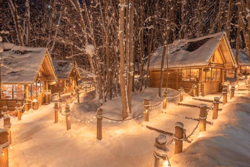 Sapporo: Asahikawa Zoo, Shirahige Falls, Ningle Terrace Tour - Customer Reviews
