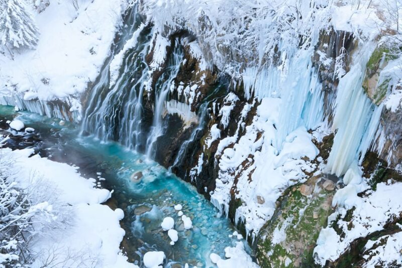 Sapporo: Asahiyama Zoo and Shirahige Falls Trip With Ticket - Ningle Terrace