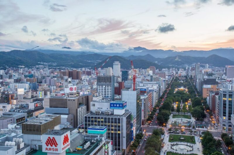 Sapporo Highlights: Art, Nature, and Architecture Tour - Akarenga Terrace