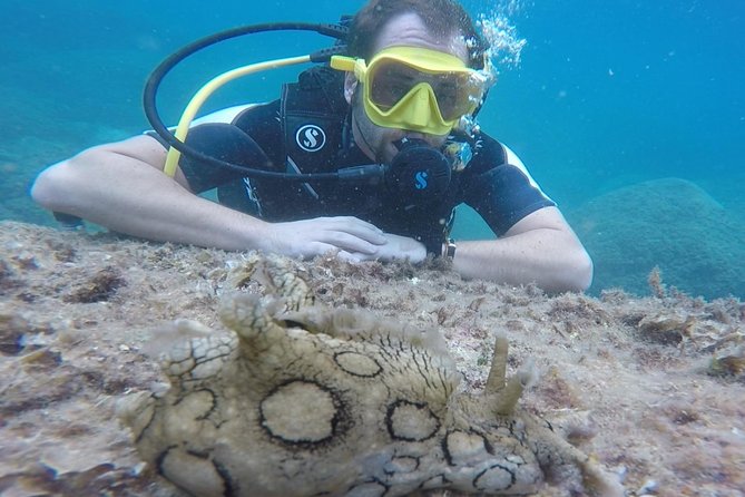 Scuba Diving Experience in Taormina - Preparing for the Dive