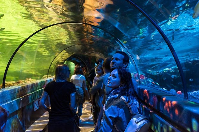 SEA LIFE Brighton Admission Ticket - Accessibility and Visitor Information