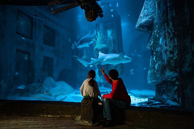 SEA LIFE London Aquarium Admission Ticket - Visitor Experiences and Feedback