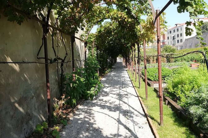 Secret Gardens of Venice Walking Tour - Navigating Meeting and End Points