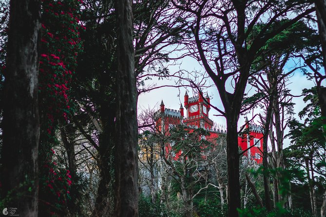 Self-Drive Tour in Sintra Review - Traveler Ratings and Reviews