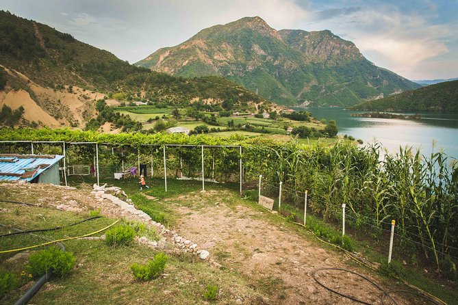 Semi-Private Tour; Theth, Valbona & Koman Lake in 4 Days - Pricing and Group Size