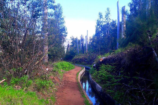 Serra D'a Água Valley - Levada Walk - Highlights of the Serra Da Água Valley Levada Walk