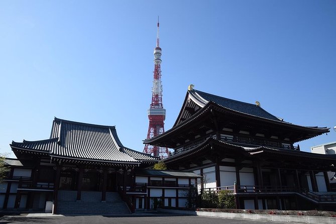 Shared Departure Transfer : Central Tokyo Hotel to Haneda Airport - Service Highlights and Benefits