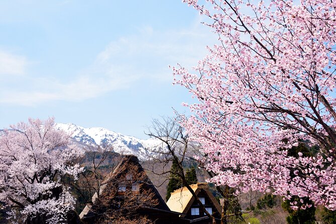 Shirakawa-Go From Takayama/Nagoya One Day Bus Ticket - Included and Excluded Services