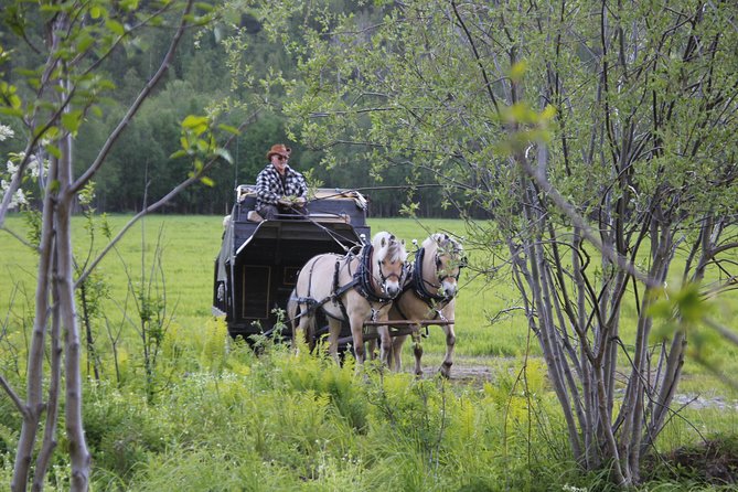 Sleigh Ride W/ Snacks - Experience Arctic Farm Life - Exploring the Mathisdalen Valley