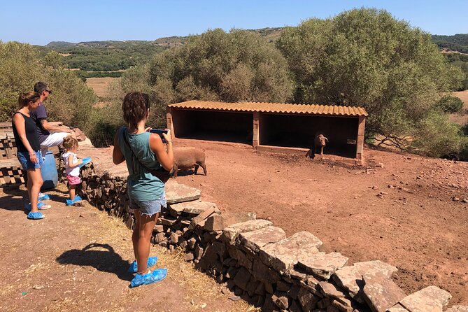 Small Group Cheese Making and Tasting From the Island of Baleares - Practical Information for Visitors
