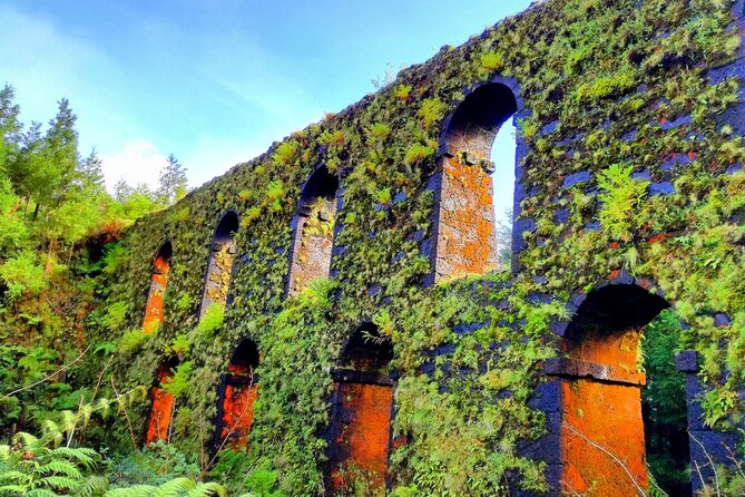 Small Group Minivan Half Day Sete Cidades Crater Tour - Personalized Attention in a Small Group