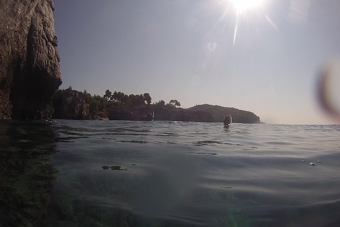 Snorkeling Trip - Traveler Feedback and Recommendations