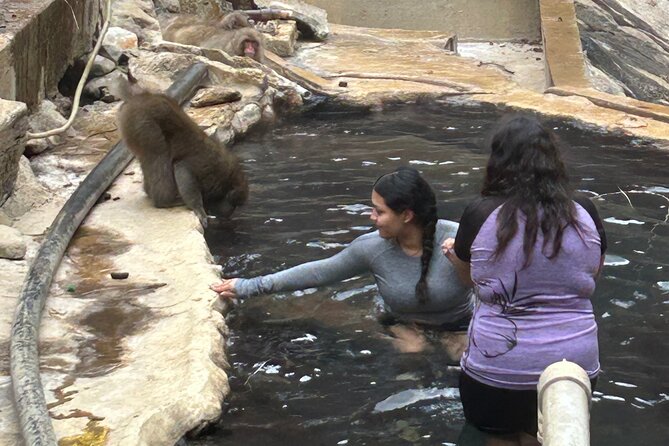 Snow Monkey Park Tour, From/To Tokyo, 2-12 Guests - Itinerary