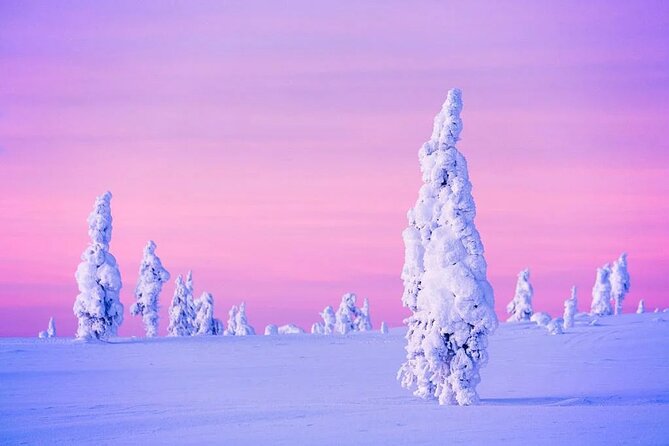 Snowmobile and Ice Fishing Experience - Logistical Considerations