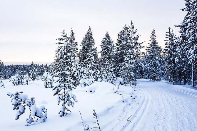 Snowmobile Safari on the Tundra - Language Support
