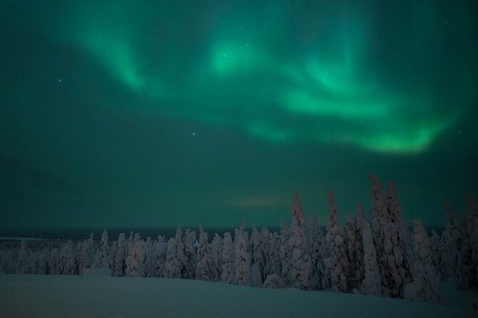 Snowmobile Safari to Search for the Northern Lights - Convenient Pickup and Drop-off Locations