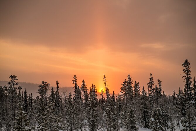Snowshoe Winter Hike From Stockholm - Wildlife and Scenery: The Highlights of Stockholms Winter