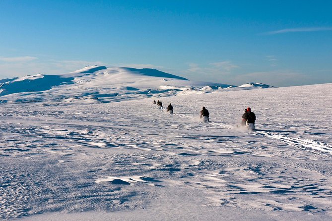 South Coast and Glacier Snowmobiling Day Trip From Reykjavik - Logistics and Inclusions