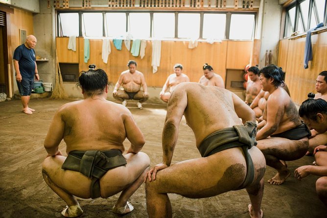 Sumo Training Session - Reviews and Feedback