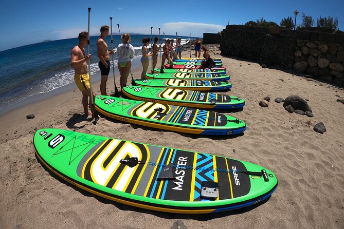 SUP Standup Paddling and Snorkeling Shared Experience - Highlights of the Snorkeling Adventure