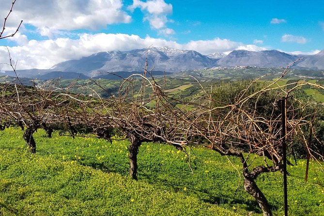 The Gourmet Wine Tour of Heraklion Area - Olive Oil Production Insights