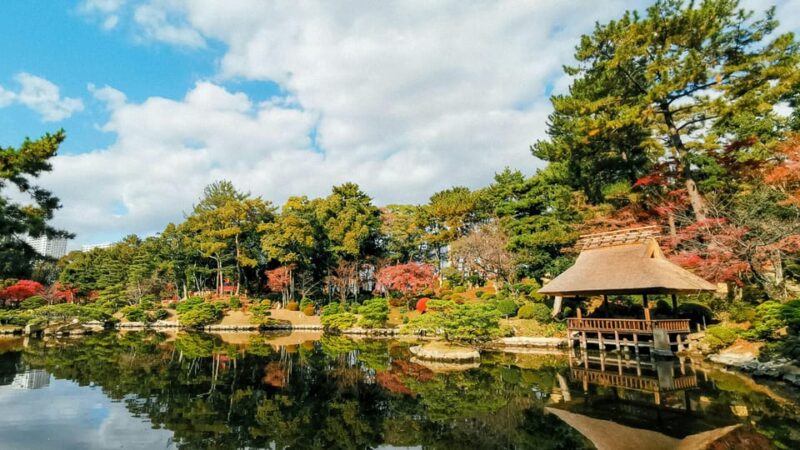 The Peace Memorial and Beyond: a Half-Day Around Hiroshima - Discovering Hiroshimas Rich History and Culture