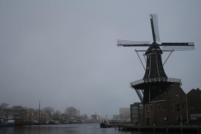 The Rise of Haarlem: Culture, History, Art and Architecture Walking Tour - Personalized Attention in a Small Group