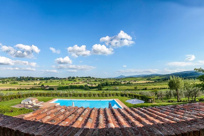 Think of a Romantic Meal in the Olive Trees Shade, Accompanied by Tuscan Wines! - Notable Dishes and Wines