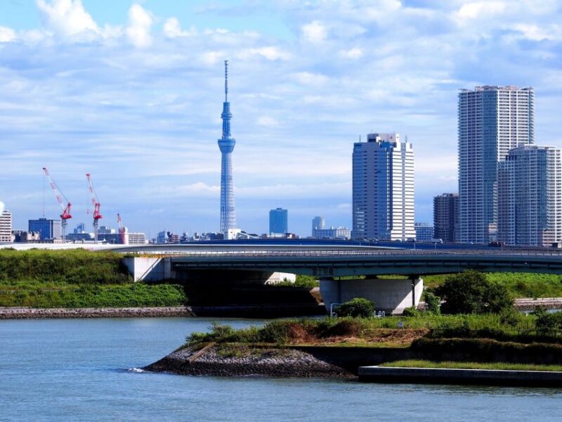 Tokyo: 1-Day Private Customizable Tour by Car - Exploring Tsukiji Fish Market