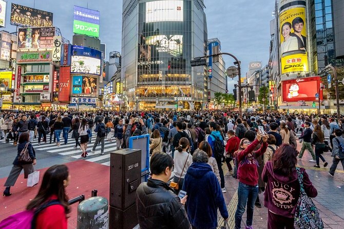Tokyo 7-Hour Free Choice Tour - Transportation Options