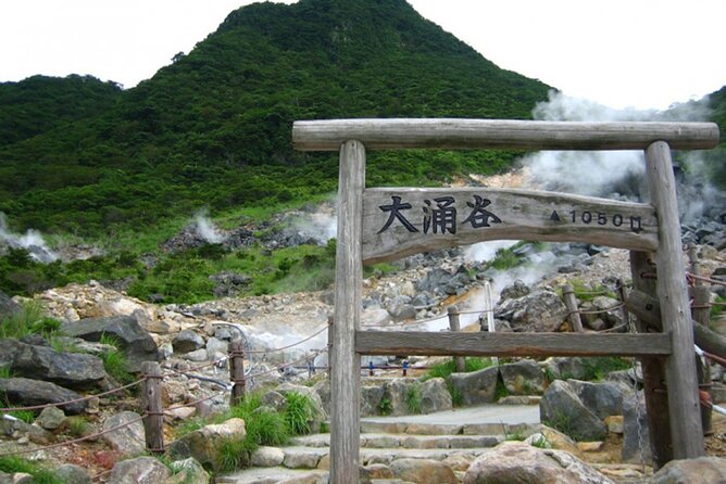 Tokyo Day Tour in Mt. Fuji, Lake Ashi Cruise and Owakudani Cable - Tour Guide and Hospitality