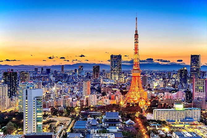 Tokyo Day Tour With English/Hindi Speaking Driver - Getting to the Meeting Point
