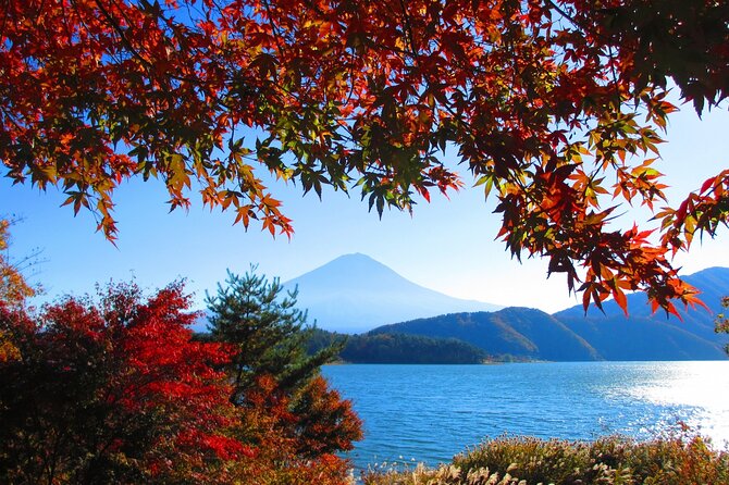 Tokyo ⇔ Lake Kawaguchi Bus Tickets (One-way/Round-trip) - Departure Schedule and Operating Status