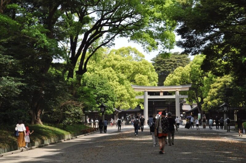 Tokyo & Fuji: Premium Car 2-Day Private Tour - Experience and Comfort