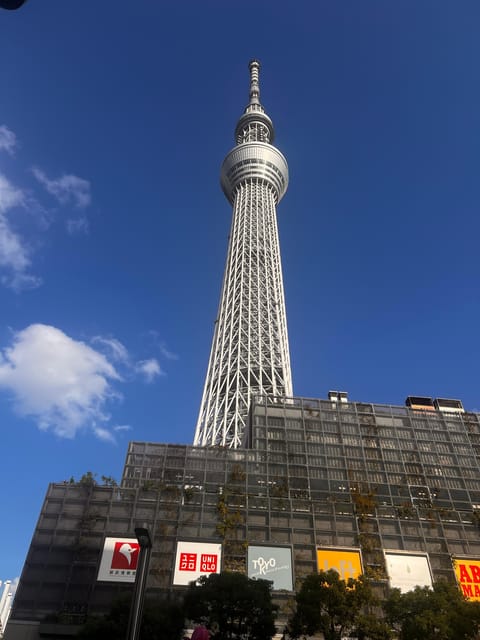 Tokyo Full Day Private Tour With English Speaking Driver - Meiji Shrine