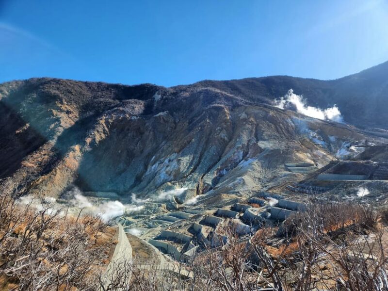 Tokyo: Hakone Private Day Trip With English Speaking Driver - Important Information