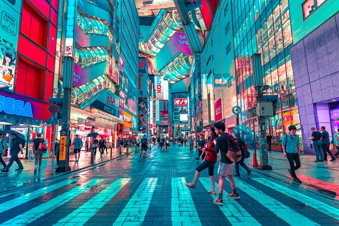 Tokyo Like a Local: Customized Private Tour - Included and Excluded Services