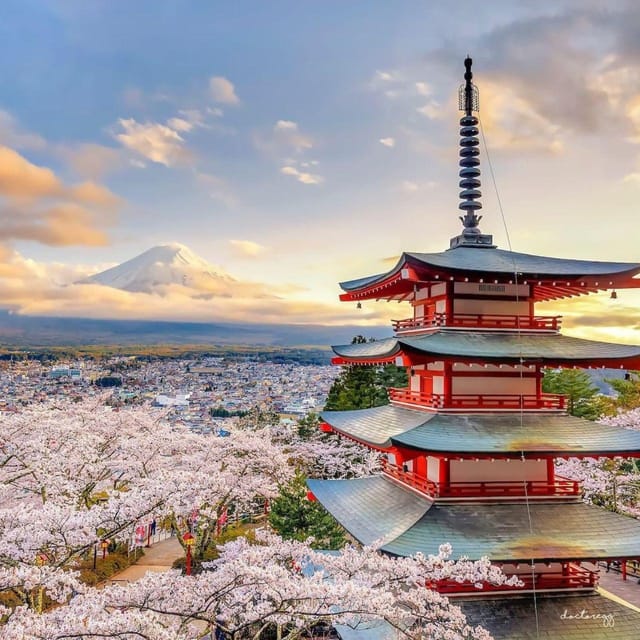 Tokyo: Mount Fuji & 5 Lakes Private Day Tour In Luxury Prado - What to Bring and Expectations