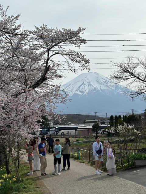 Tokyo: Mount Fuji Classic Private Day Tour - Vehicle and Guide